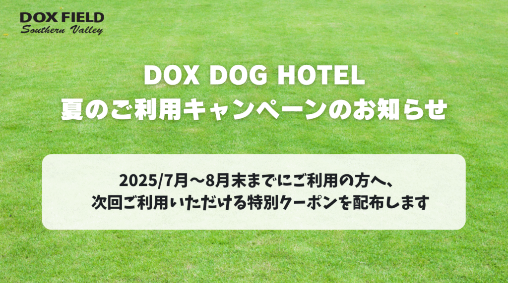 DOX DOG HOTEL夏のご利用キャンペーンについて - DOX FIELD Southern Valley